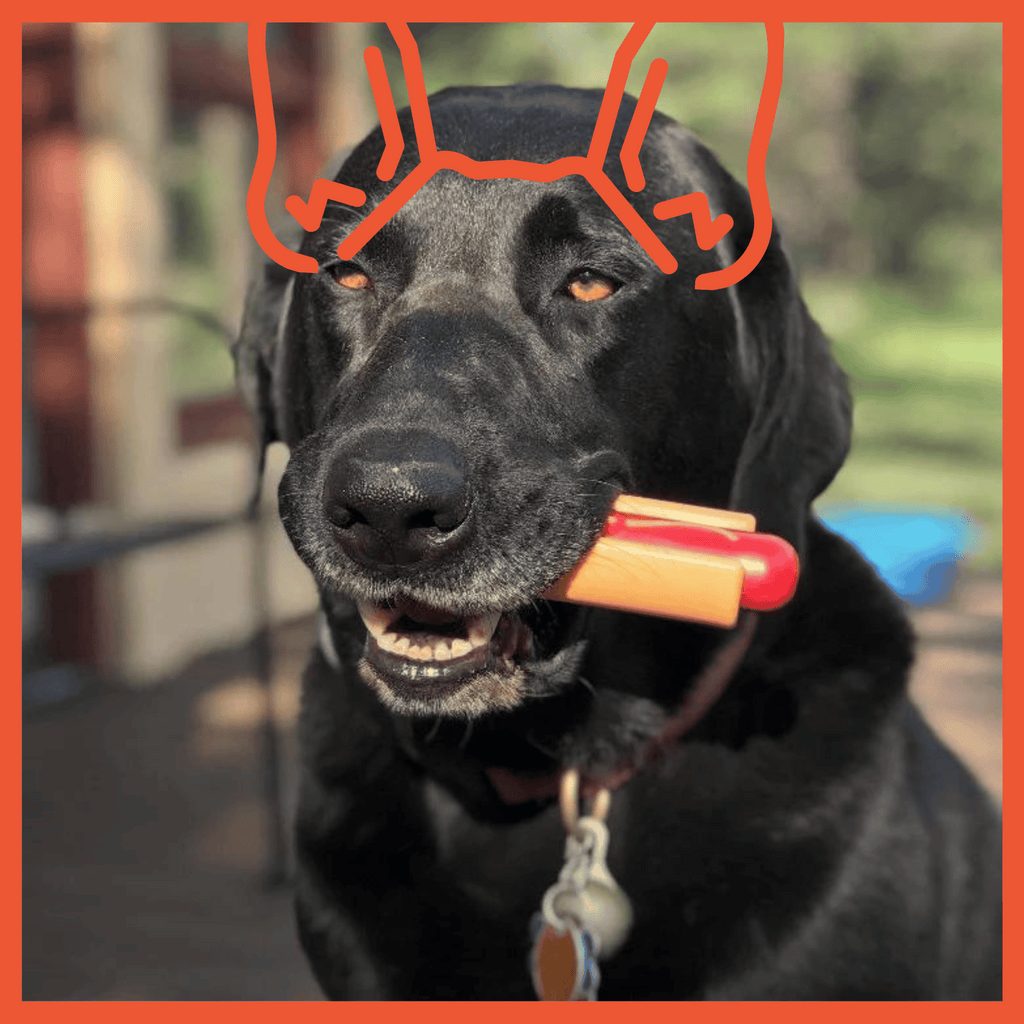 Hot Dog Ultra Durable Nylon Dog Toy – Maddie's American Pet Products